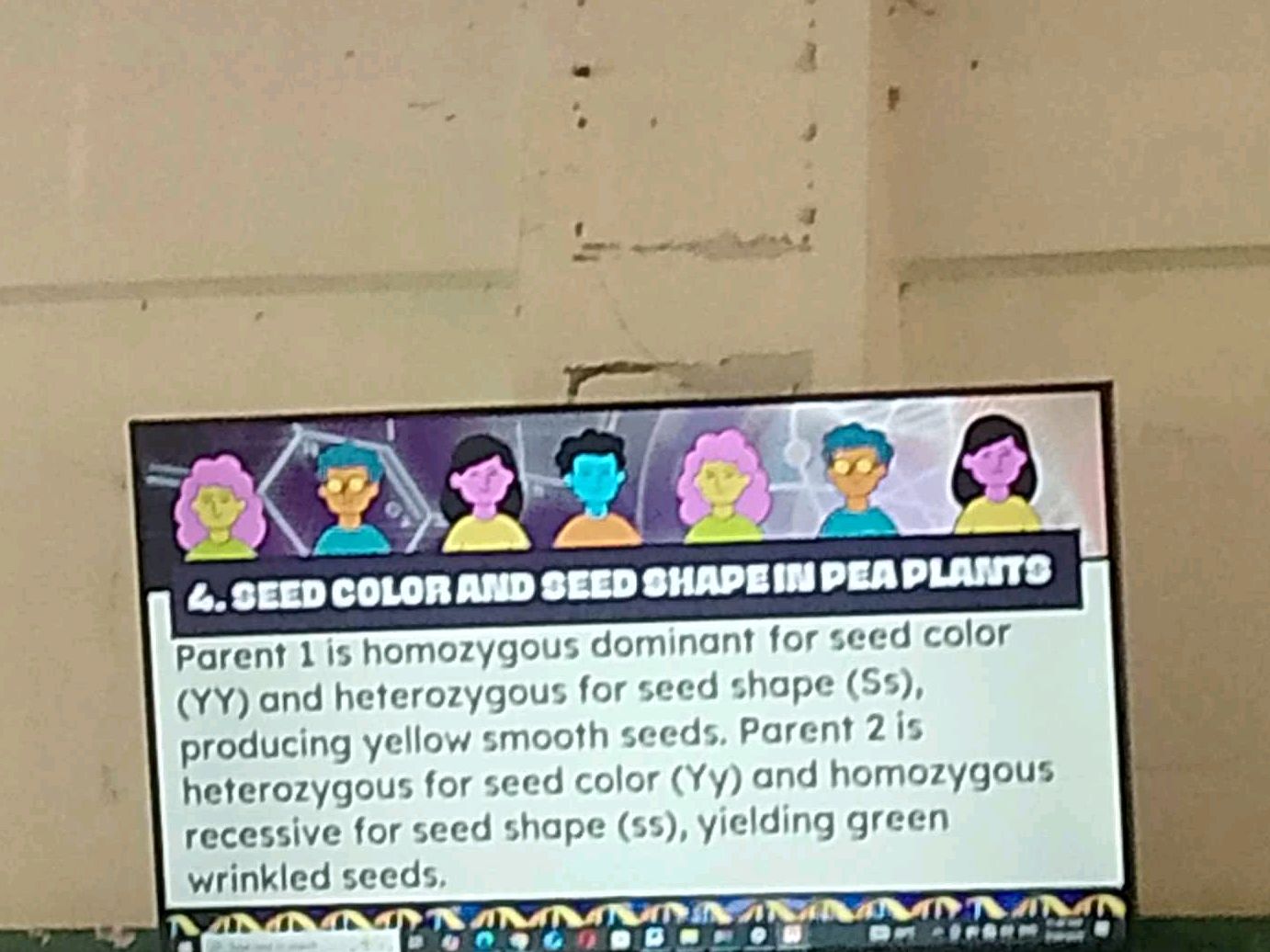 4. SEED COLOR AND SEED SHAPE IN PEA PLANTS | StudyX