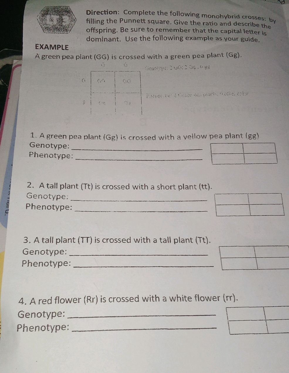 Direction: Complete the following monohybrid | StudyX