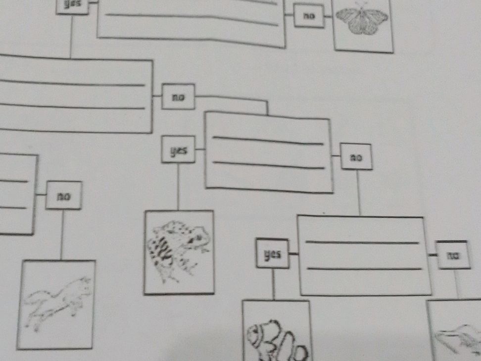 The image shows a decision tree with boxes | StudyX