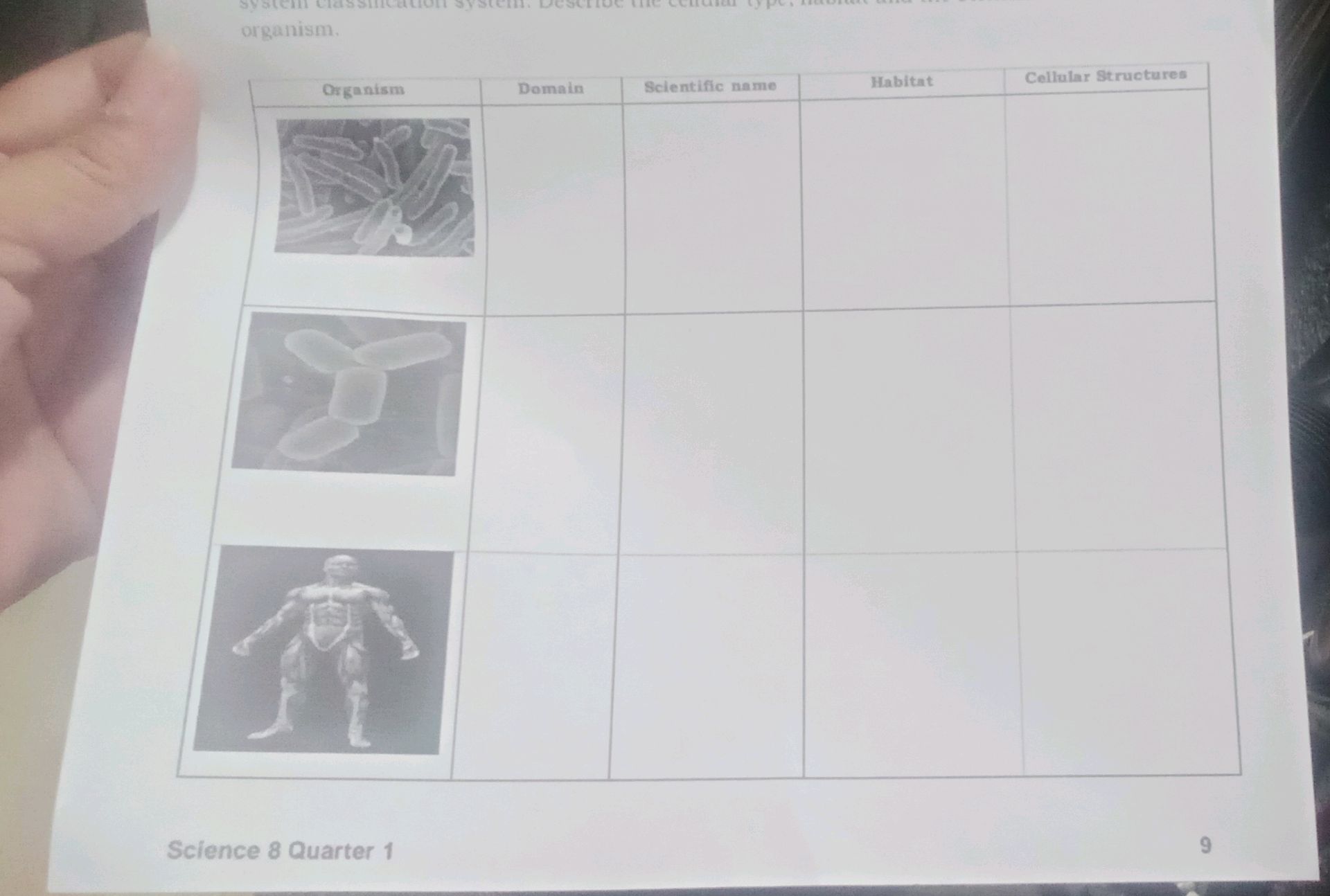| Organism | Domain | Scientific name | | StudyX