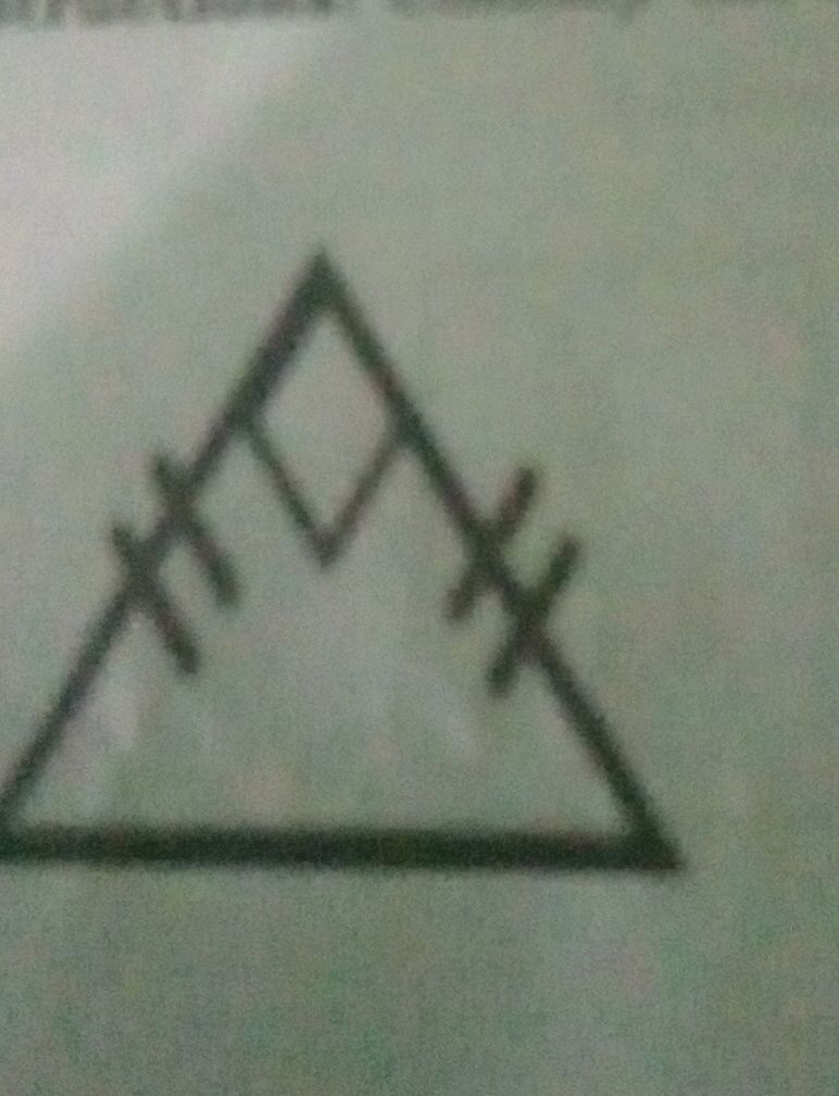 The image shows a triangle with some lines | StudyX