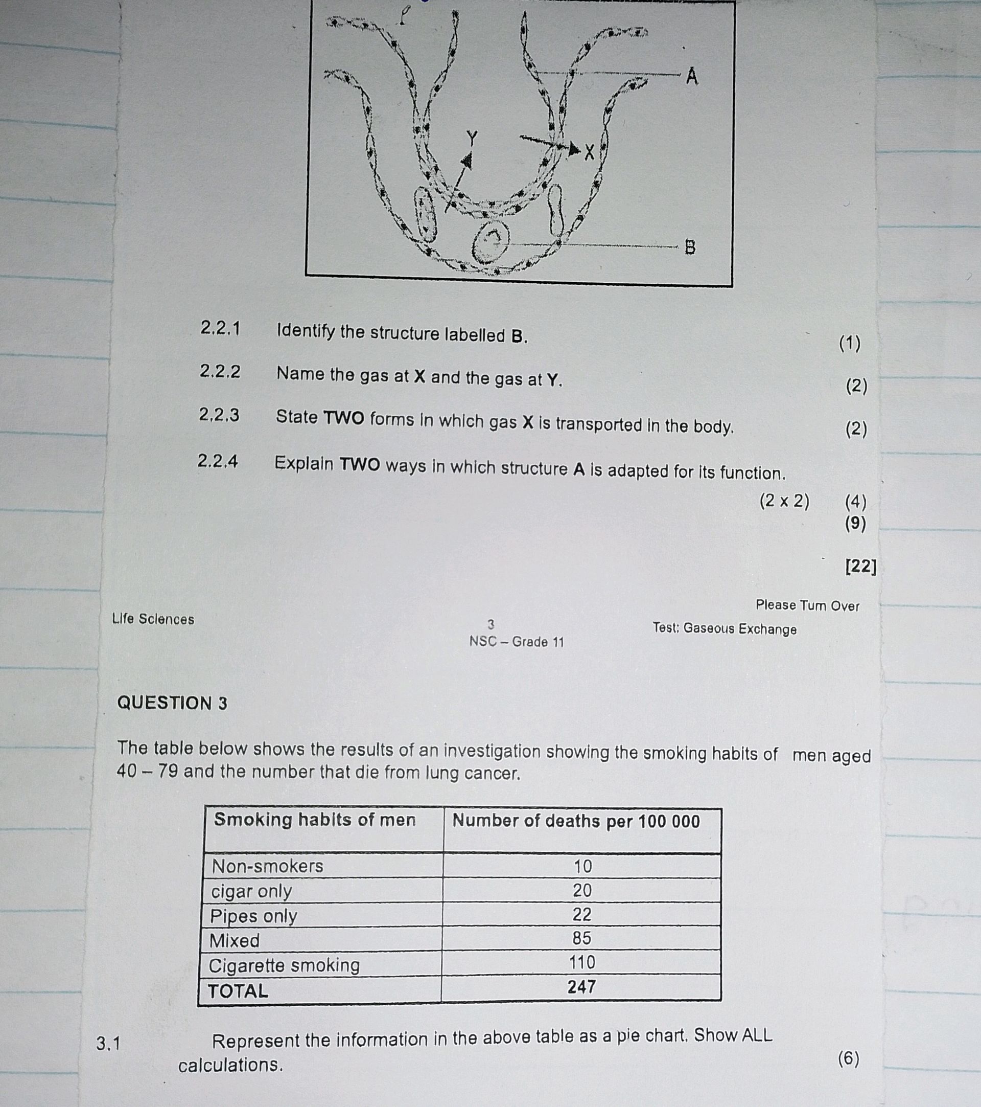 2.2.1 Identify the structure labelled B. | StudyX