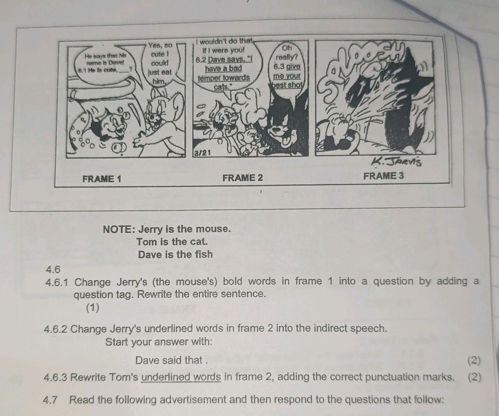 NOTE: Jerry is the mouse. Tom is the cat. | StudyX