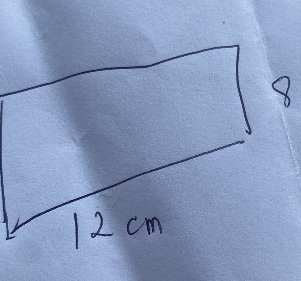 A rectangle is drawn with a length of 12 cm | StudyX