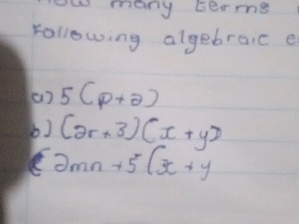 How many terms following algebraic