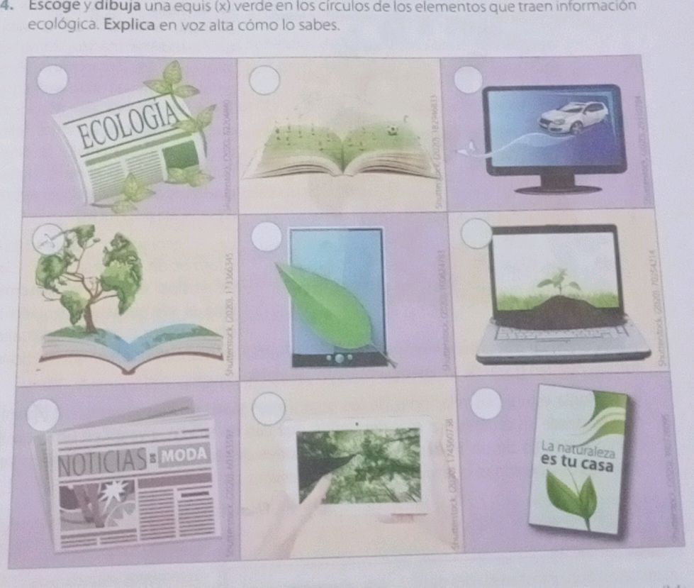 4. Escoge y dibuja una equis (x) verde en | StudyX