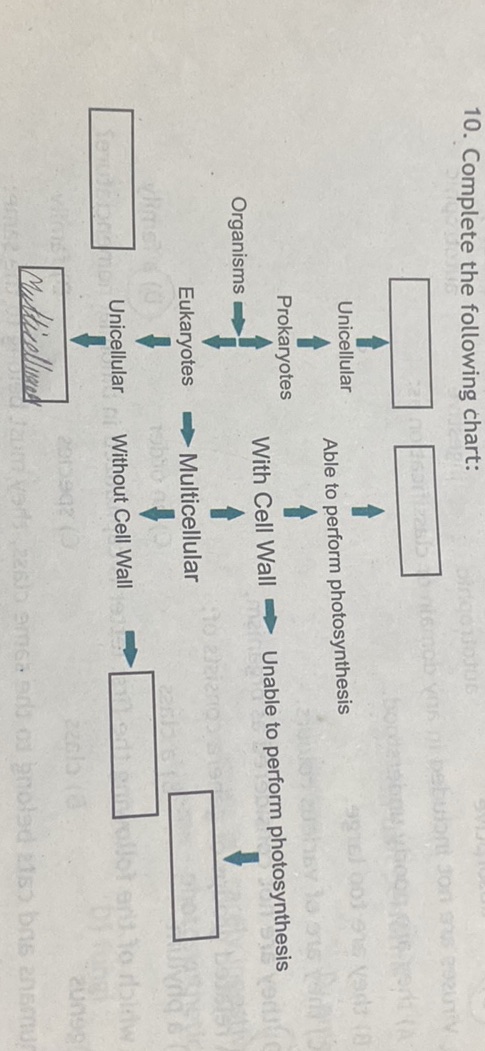 10. Complete the following chart: Organisms | StudyX