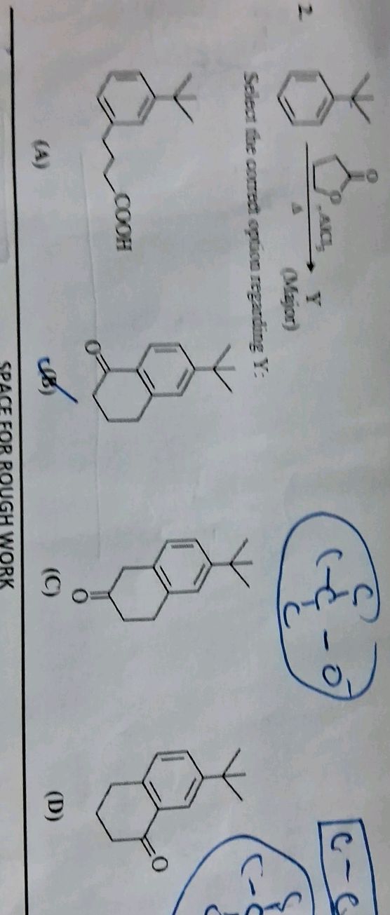 Select the correct option regarding Y: (A) | StudyX