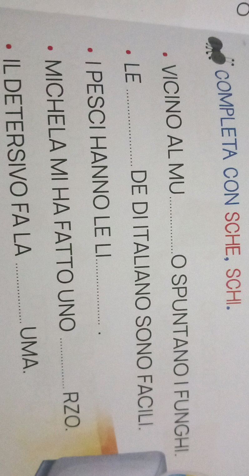 COMPLETA CON SCHE, SCHI. • VICINO AL MU ... | StudyX