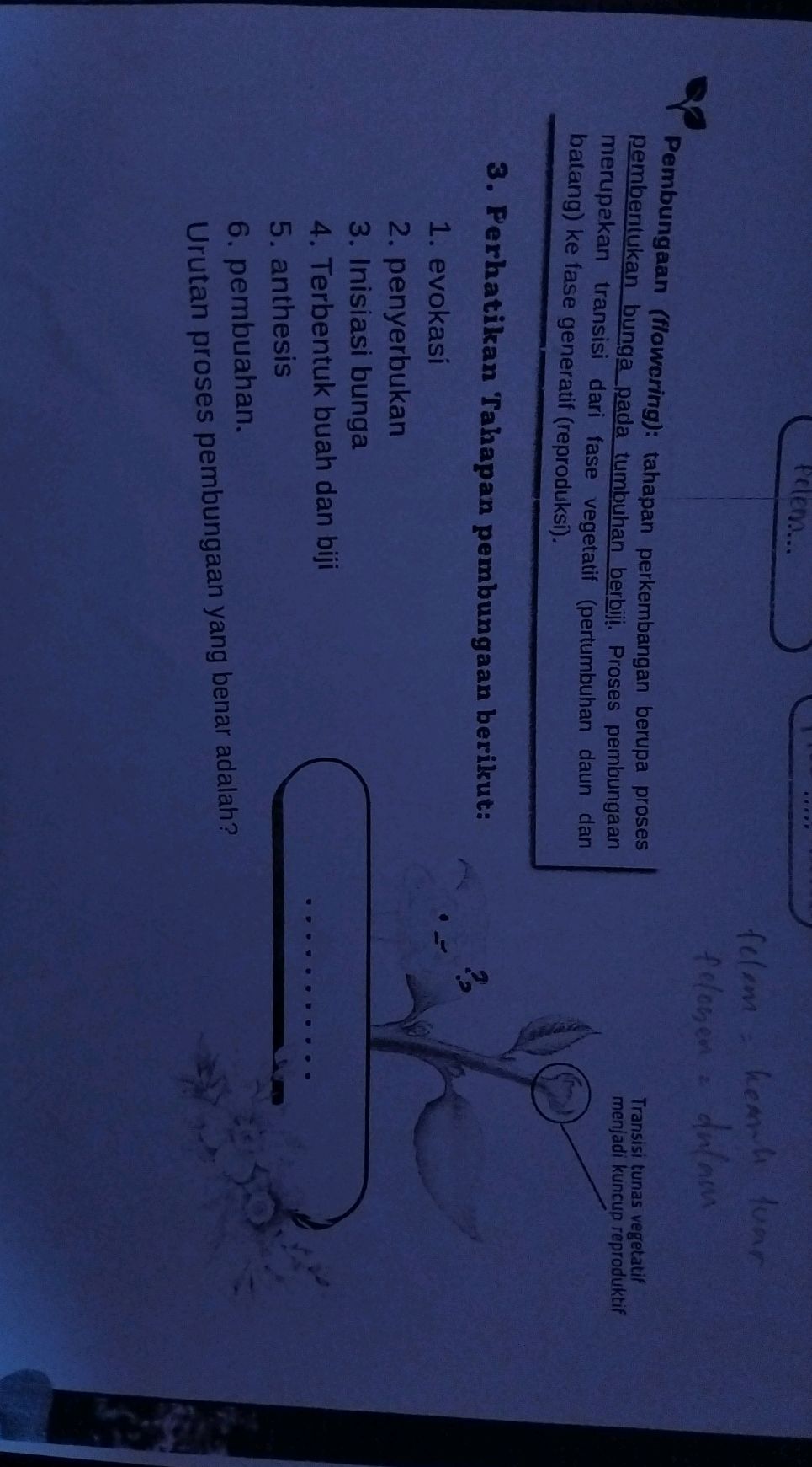 Pembungaan (flowering): tahapan perkembangan | StudyX