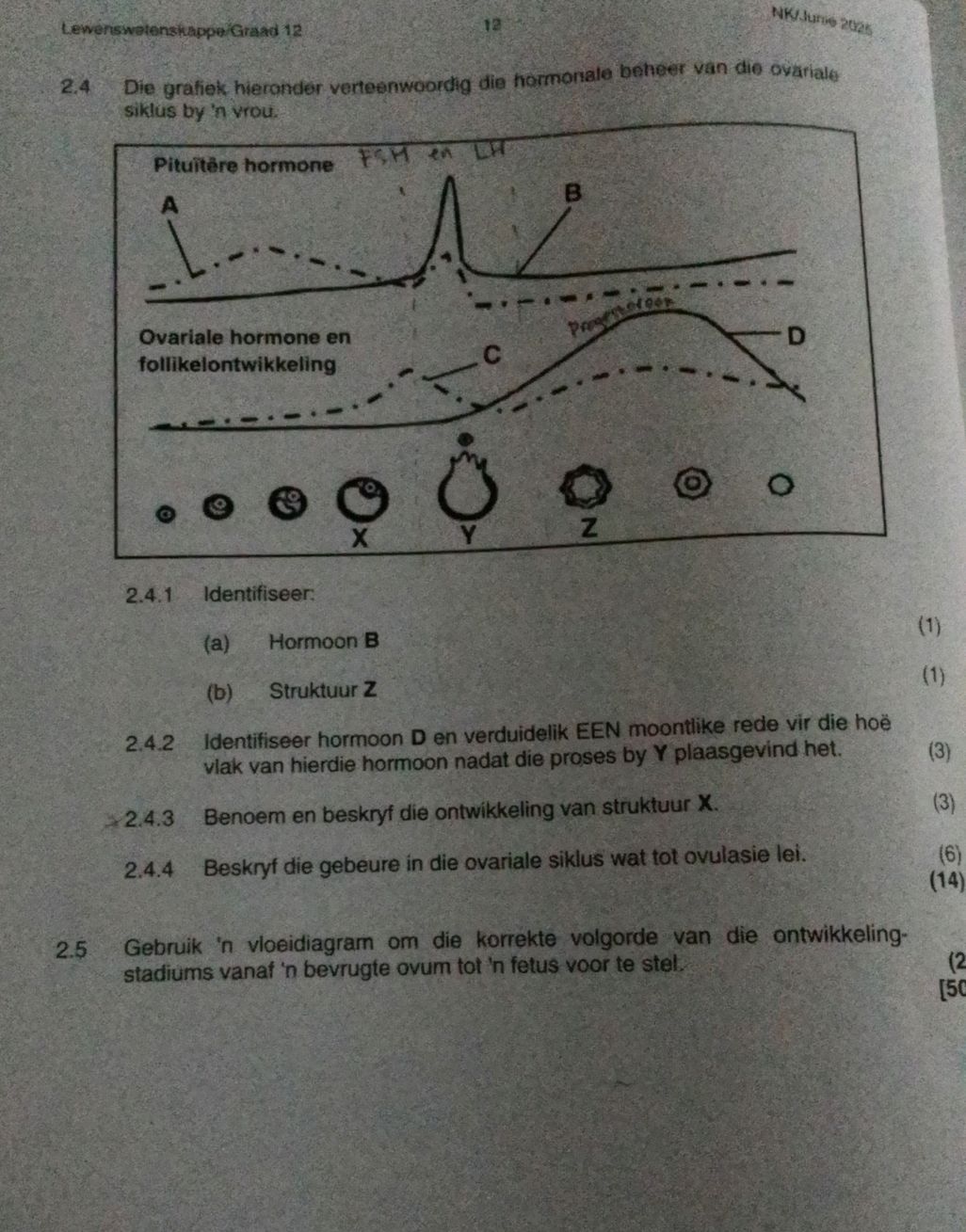 2.4 Die grafiek hieronder verteenwoordig die | StudyX