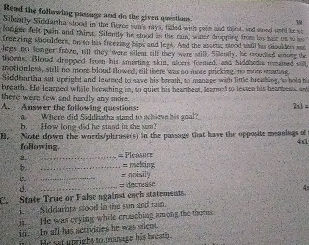 Read the following passage and do the given | StudyX