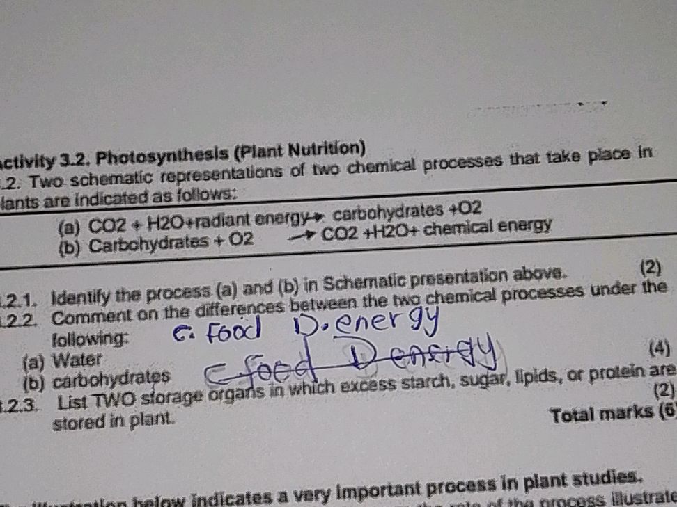 1. 2. Photosynthesis (Plant Nutrition) 2. | StudyX