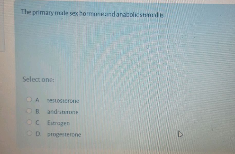 The primary male sex hormone and anabolic