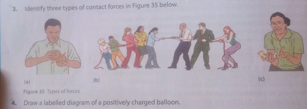3. Identify three types of contact forces in | StudyX