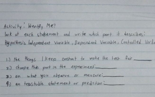 Activity: Identify Me? look at each | StudyX