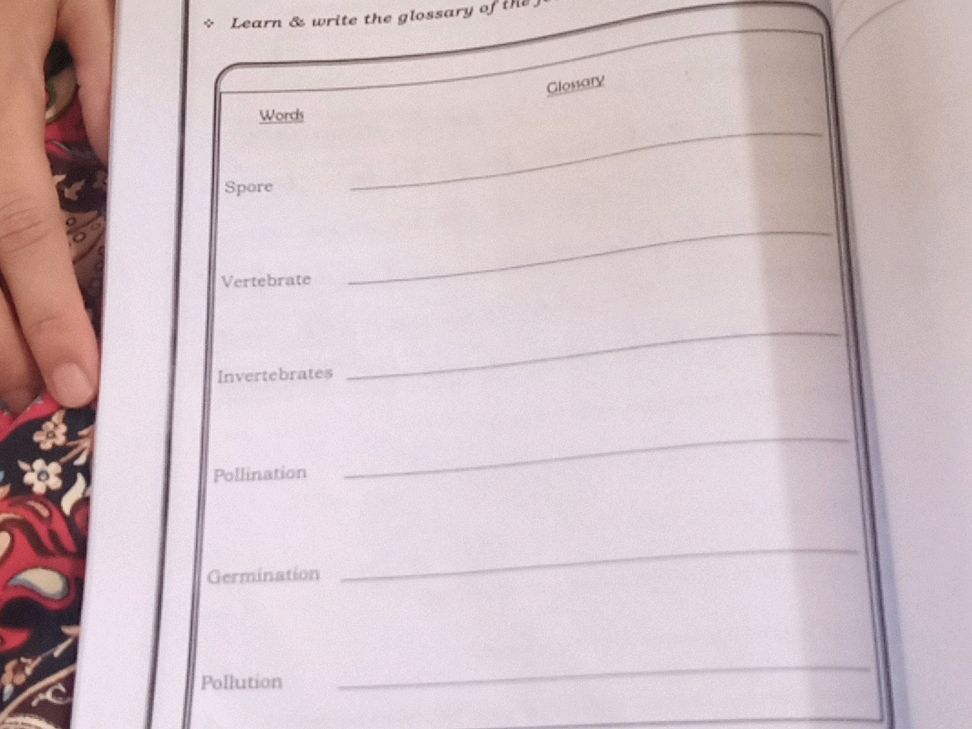 Learn write the glossary of the | Words | | StudyX