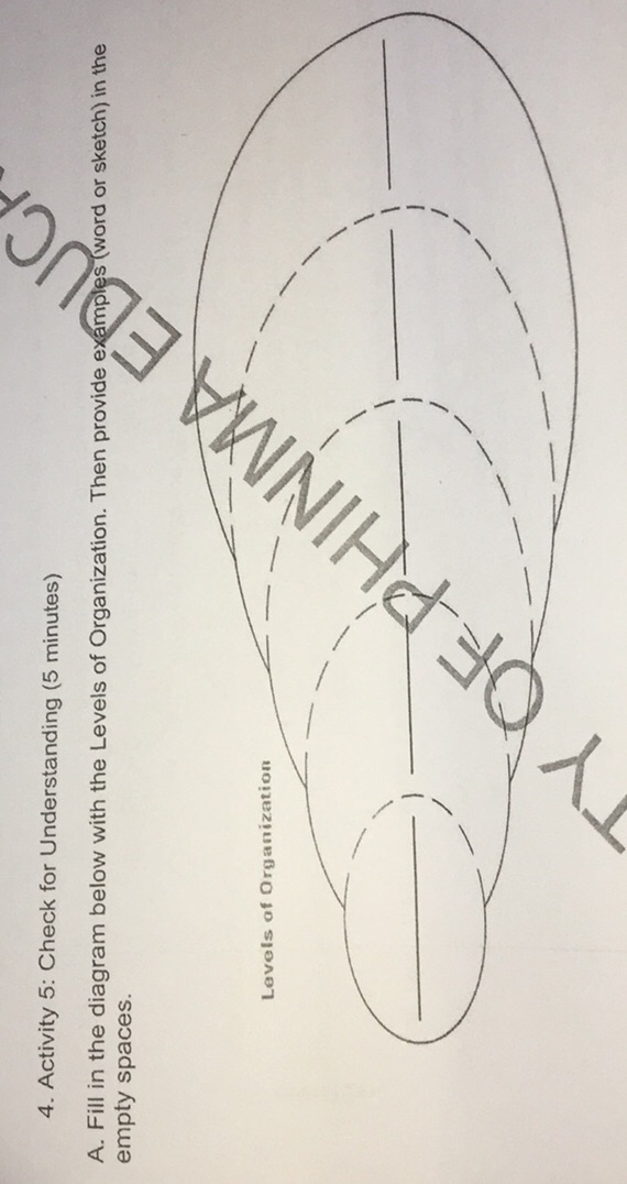 4. Activity 5: Check for Understanding (5 | StudyX