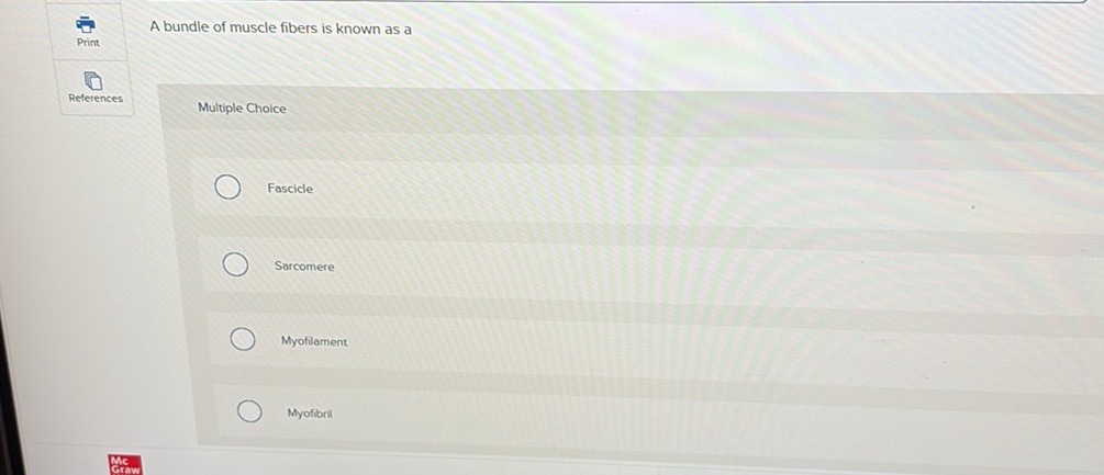 A bundle of muscle fibers is known as a | StudyX