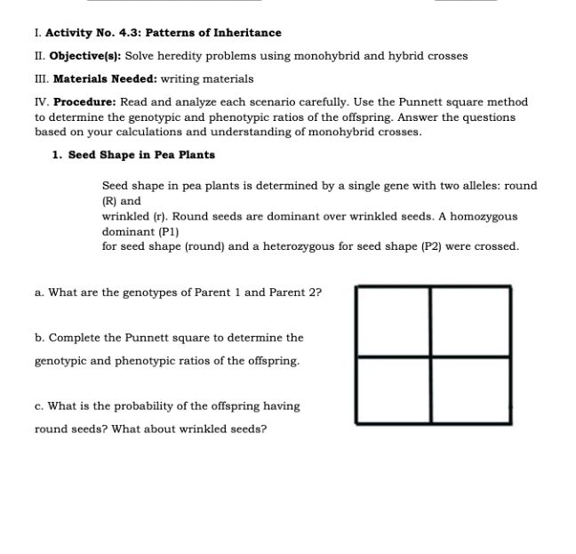 I. Activity No. 4.3: Patterns of Inheritance | StudyX