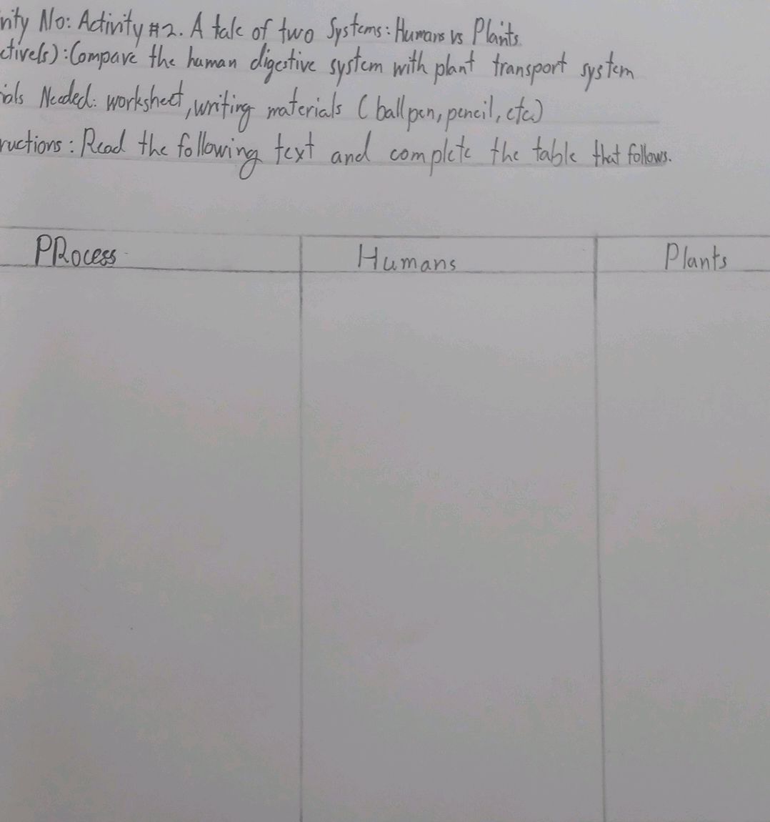 Activity #2. A tale of two Systems: Humans