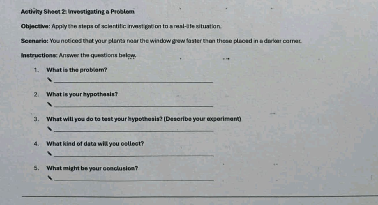 Activity Sheet 2: Investigating a Problem | StudyX