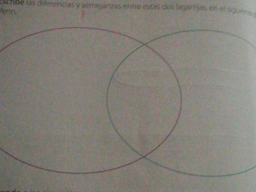 Describe the differences and similarities | StudyX