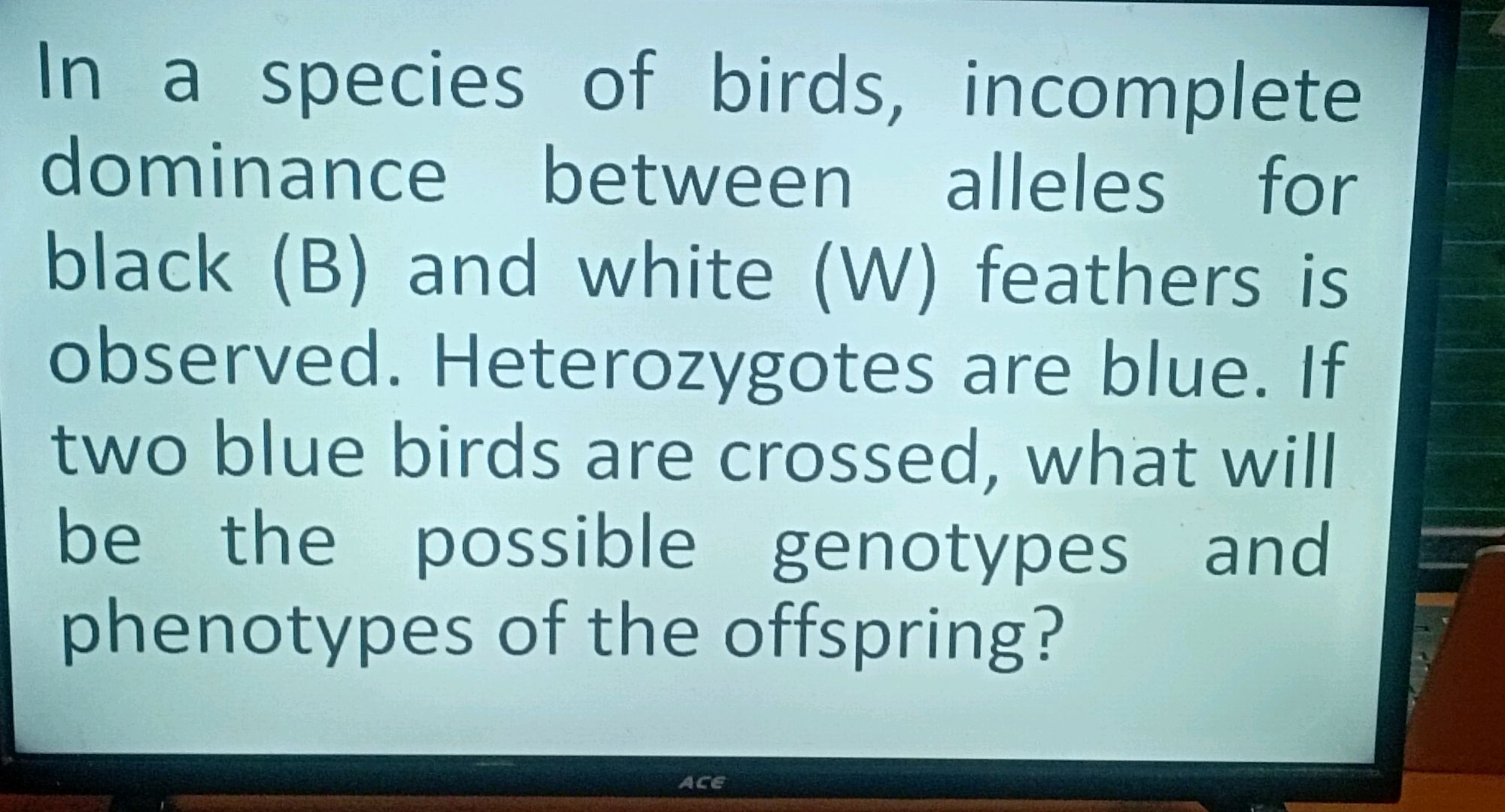 In a species of birds, incomplete dominance