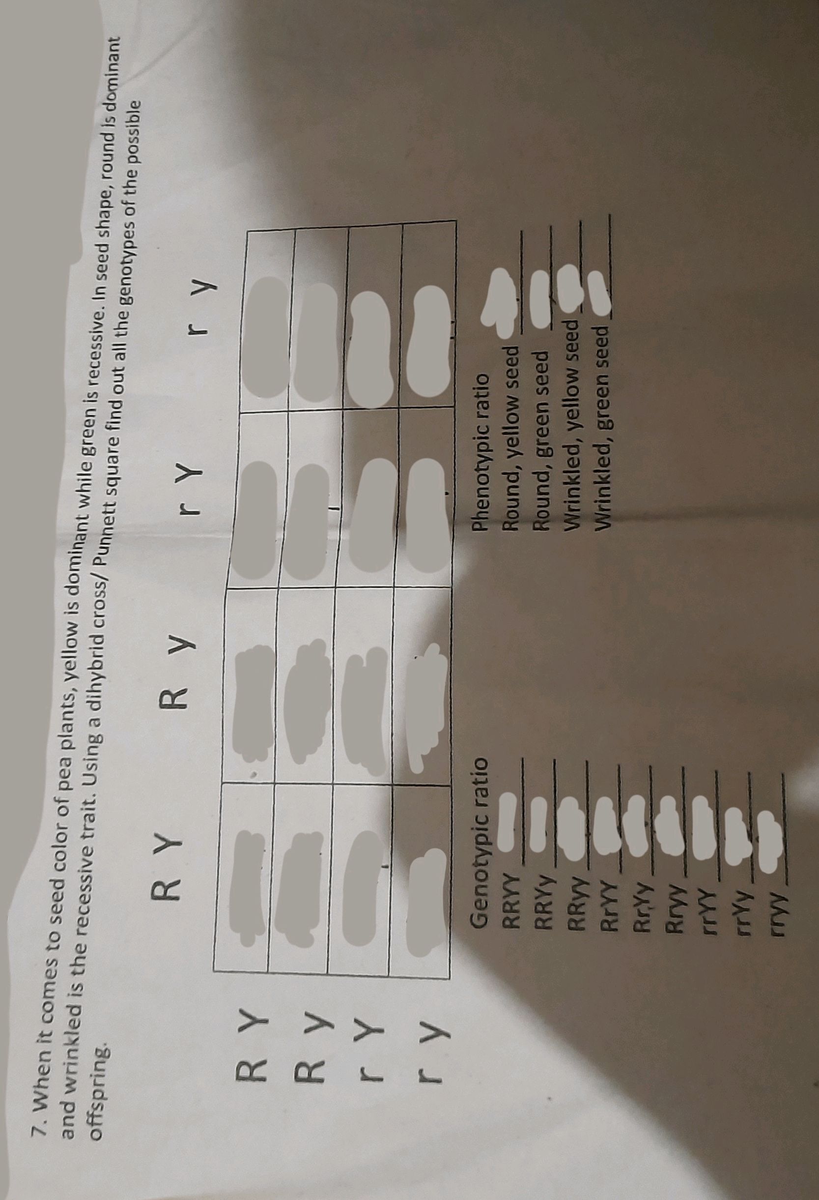 When it comes to seed color of pea plants,