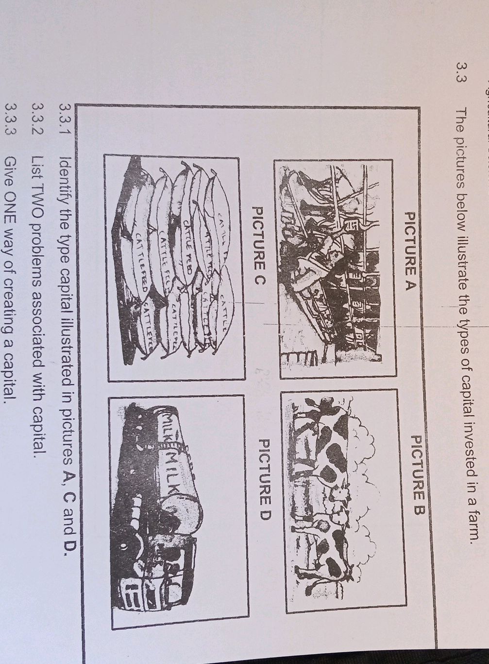 3.3 The pictures below illustrate the types | StudyX