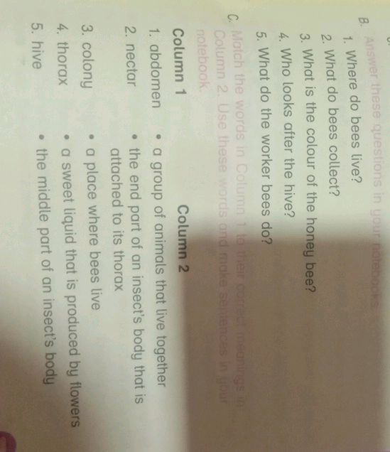 B. Answer these questions in your notebooks | StudyX