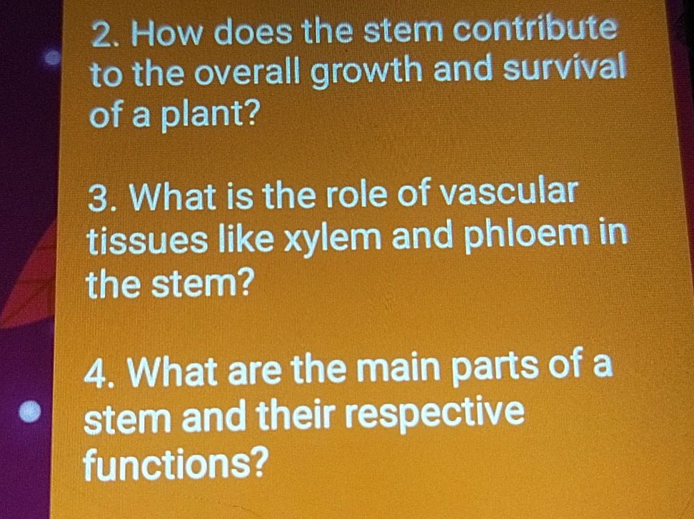 How does the stem contribute to the overall