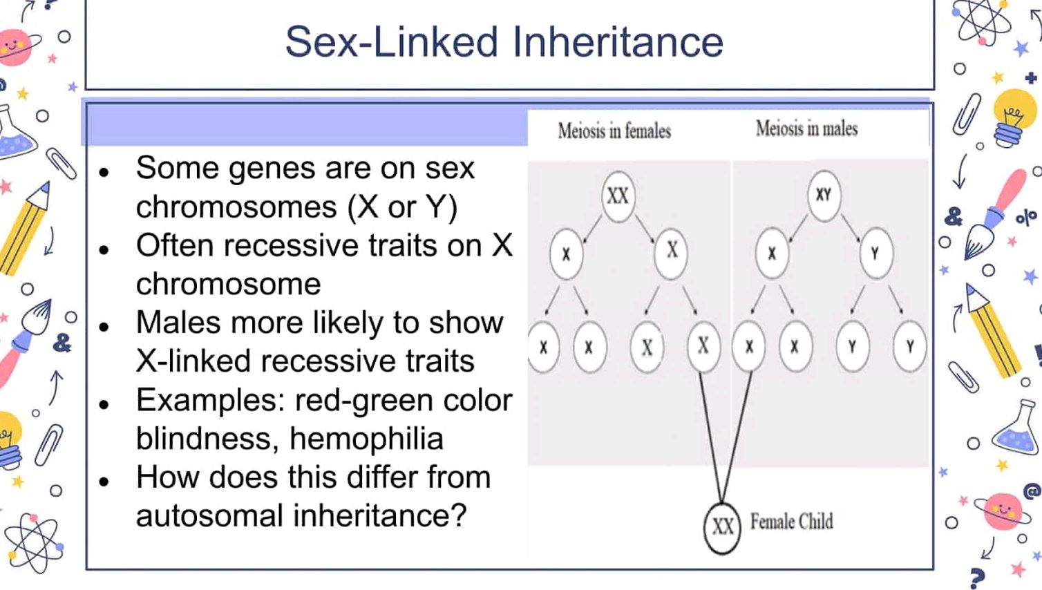 Some genes are on sex chromosomes (X or Y) | StudyX