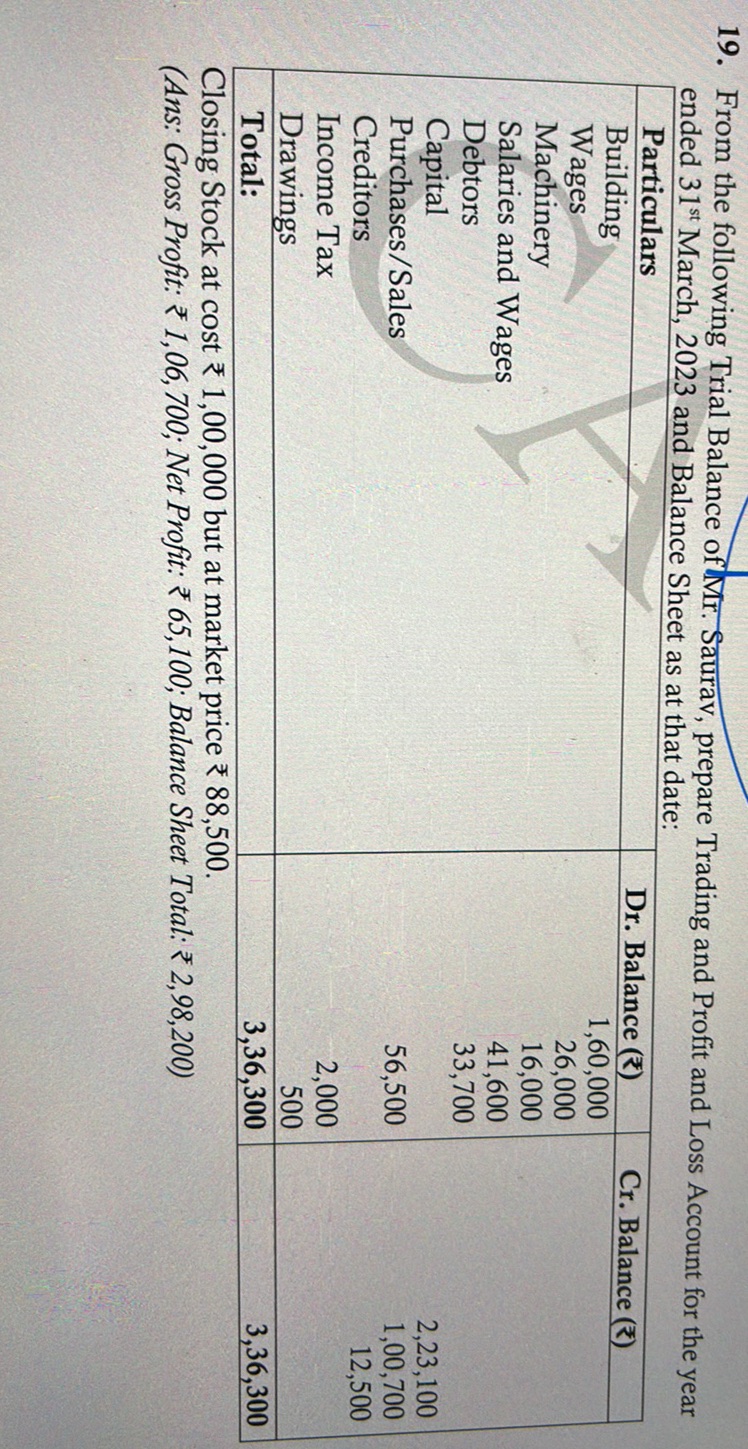 19. From the following Trial Balance of Mr. | StudyX