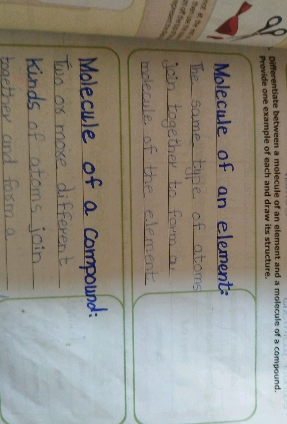 Differentiate between a molecule of an | StudyX