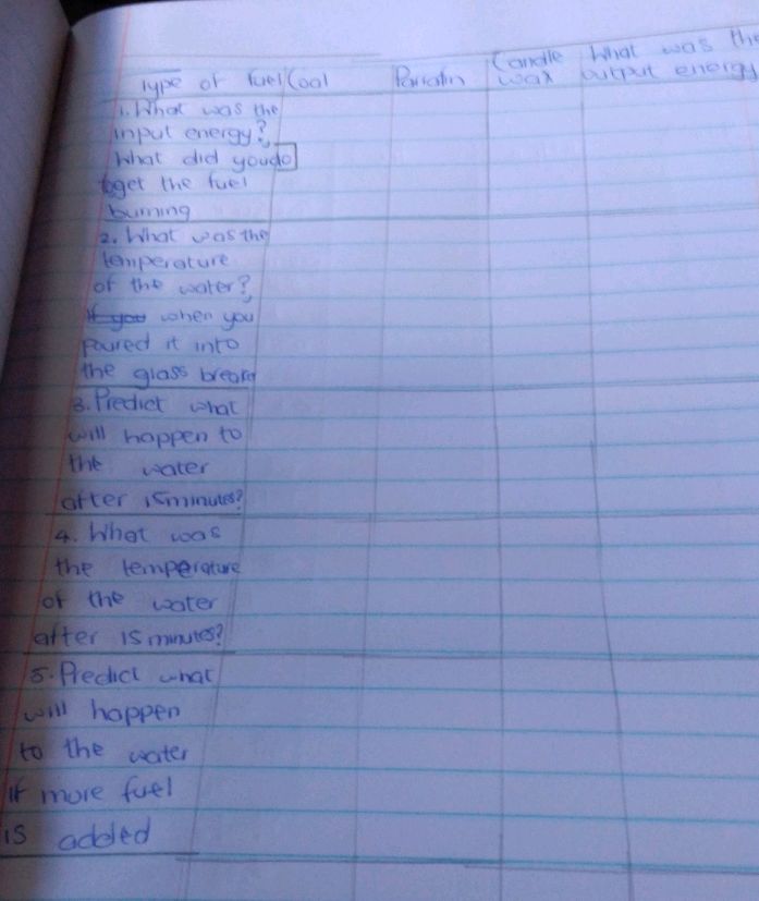 Type of fuel: Coal, Paratin, Candle wax, | StudyX
