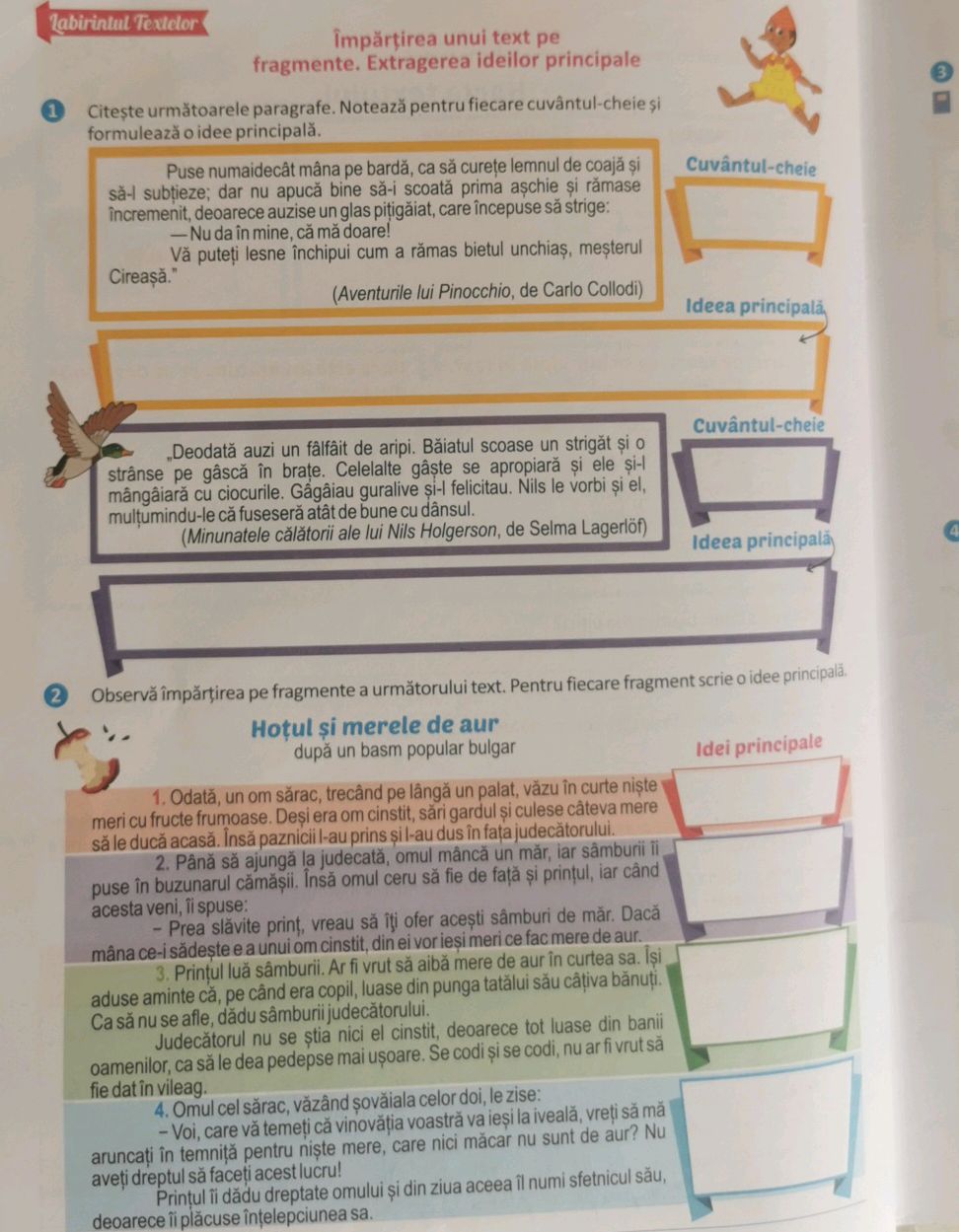Citește următoarele paragrafe. Notează