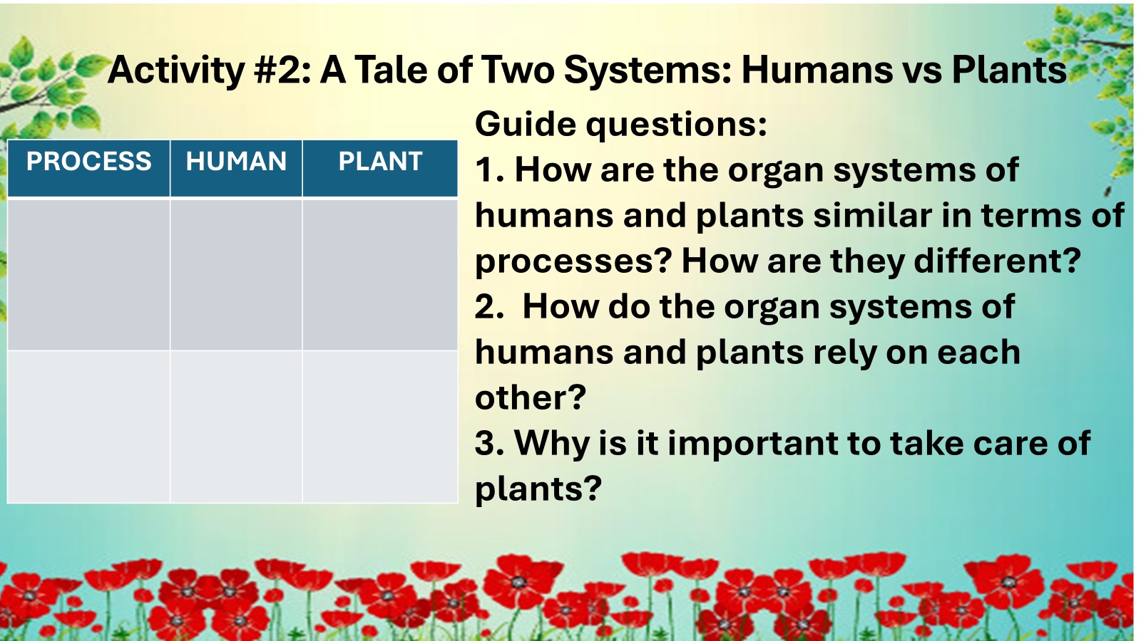 Activity #2: A Tale of Two Systems: Humans | StudyX