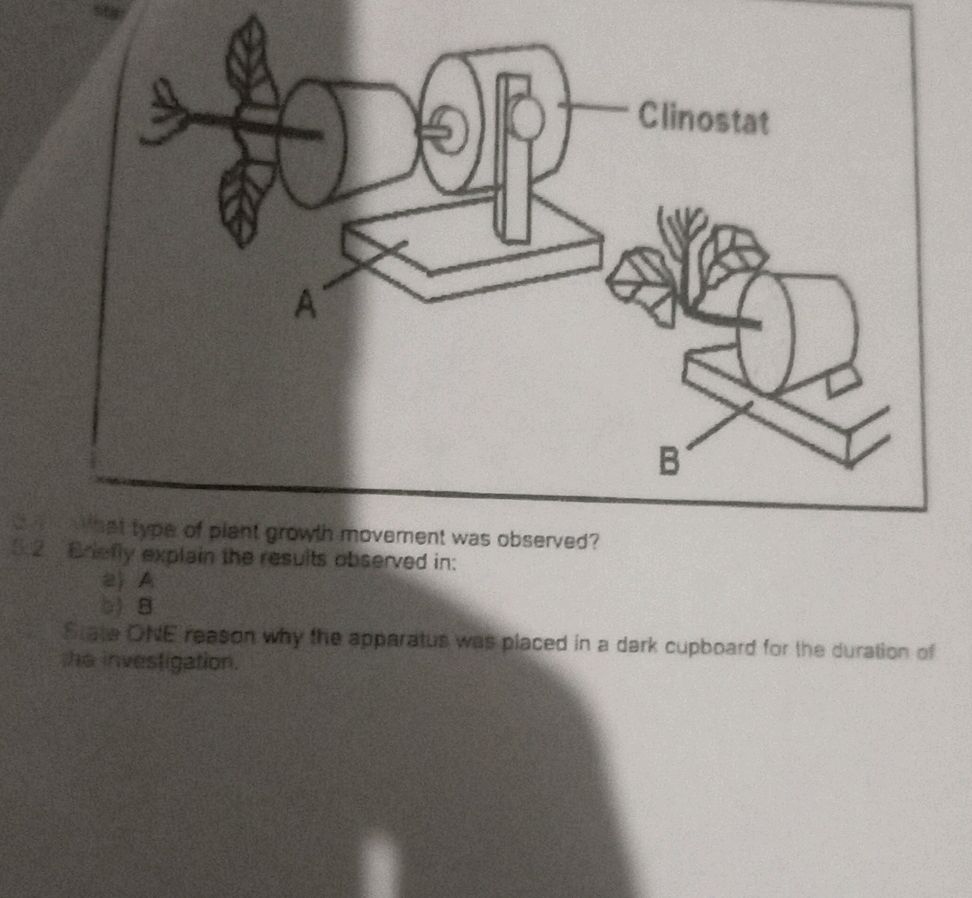 What type of plant growth movement was | StudyX