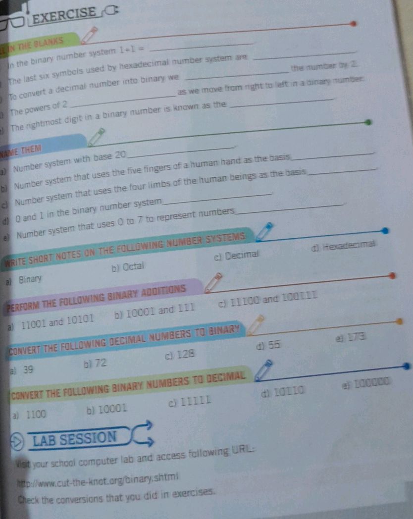 IN THE BLANKS In the binary number system | StudyX