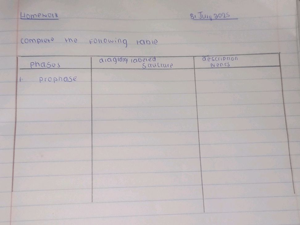 complete the following table | phases | | StudyX