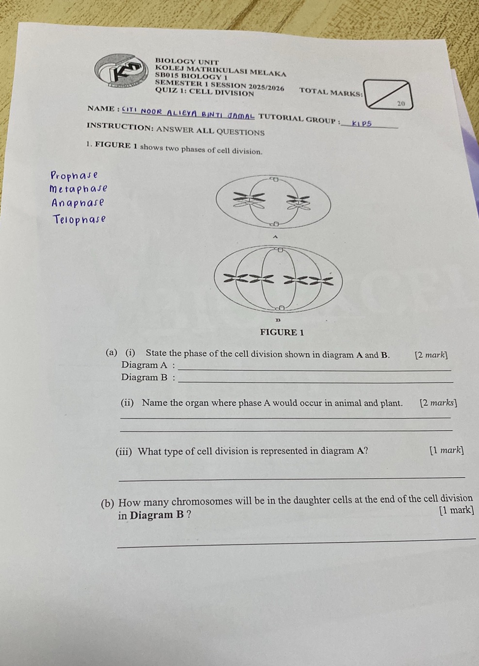 1. FIGURE 1 shows two phases of cell | StudyX