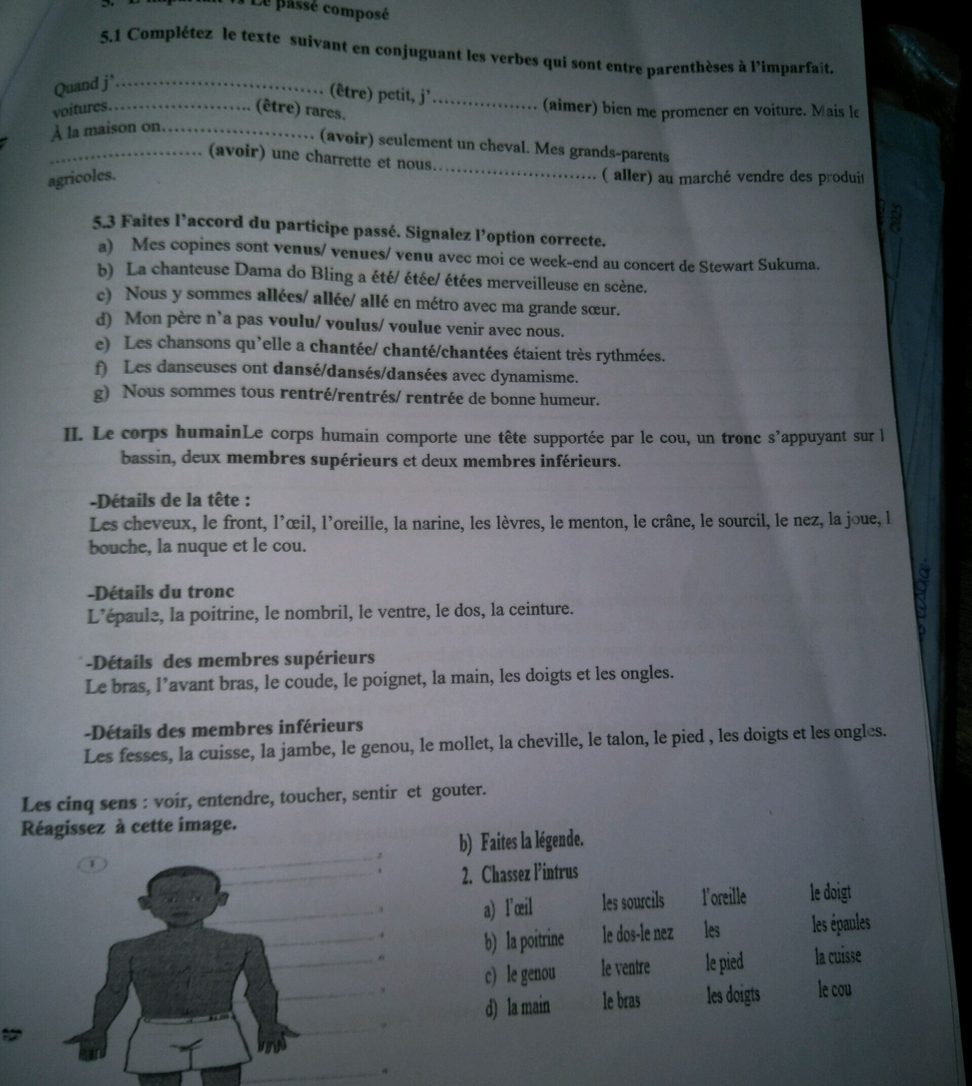 5.1 Complétez le texte suivant en conjuguant | StudyX