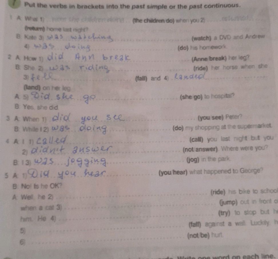 Put the verbs in brackets into the past | StudyX