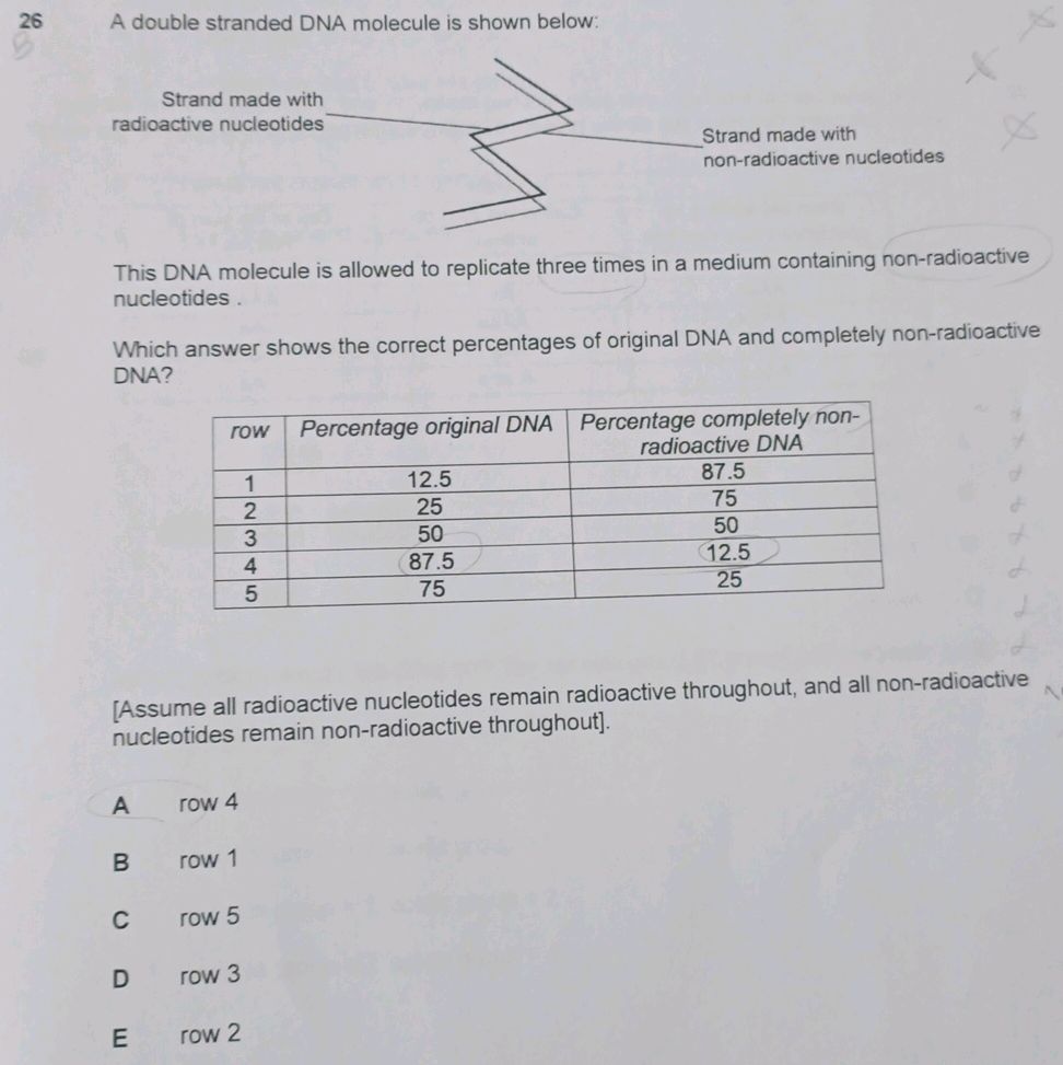 A double stranded DNA molecule is shown