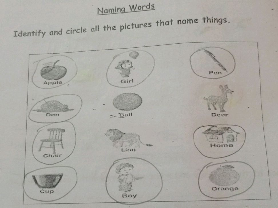 Naming Words Identify and circle all the | StudyX