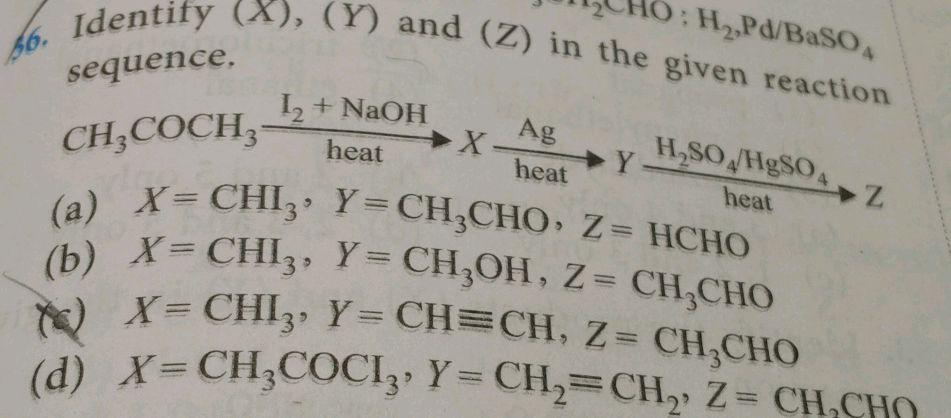 Identify (X), (Y) and (Z) in the given | StudyX