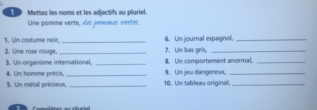 Mettez les noms et les adjectifs au pluriel. | StudyX