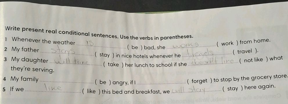 Write present real conditional sentences. | StudyX