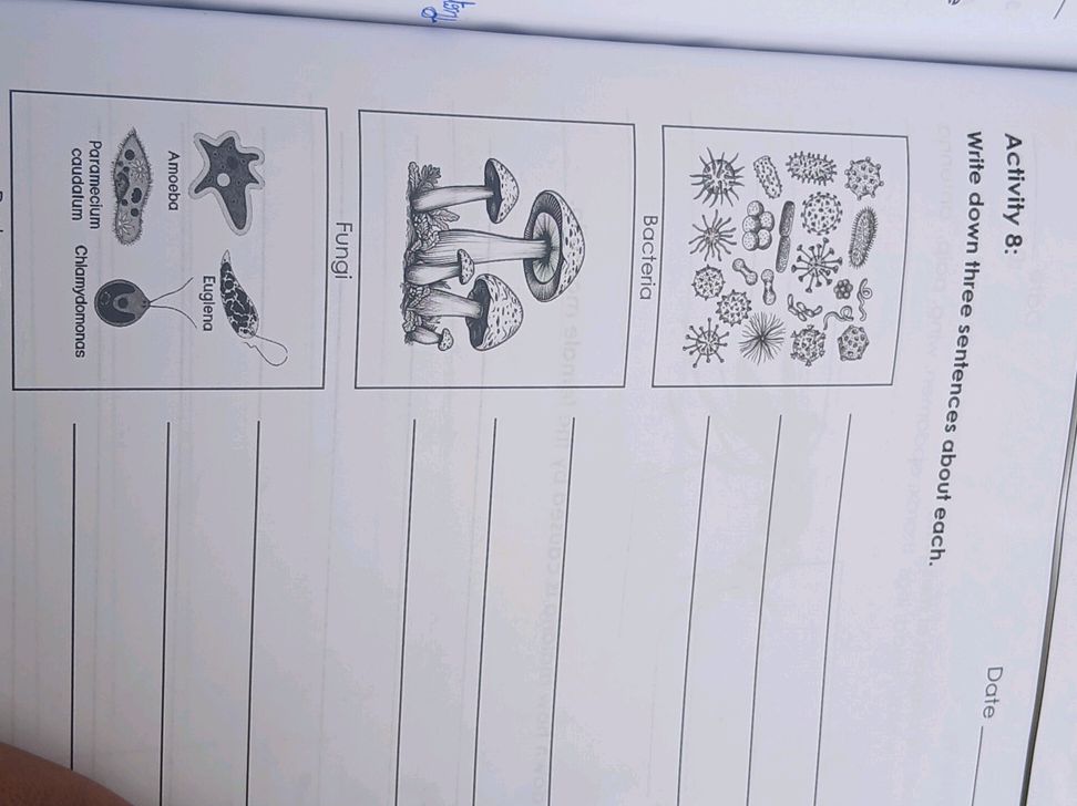 Activity 8: Write down three sentences about | StudyX